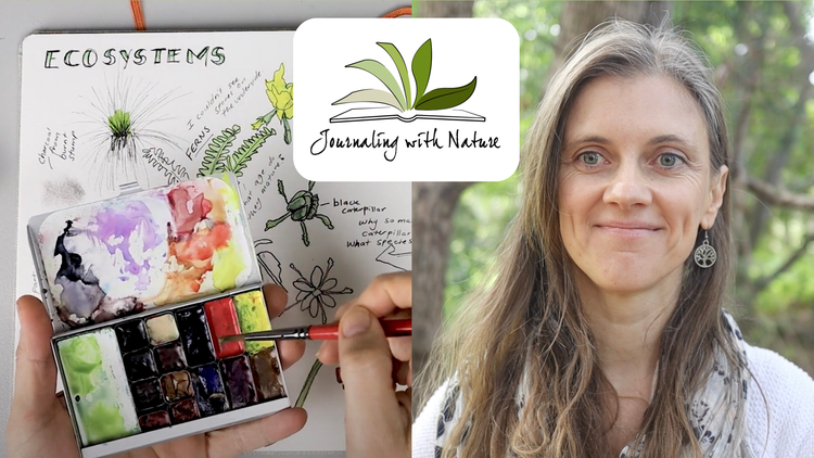 Next steps — Nature Journaling Week
