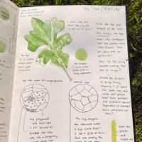 Next steps — Nature Journaling Week