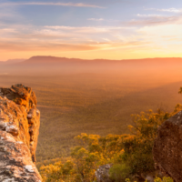 Describing the indescribable — Nature Journaling Week