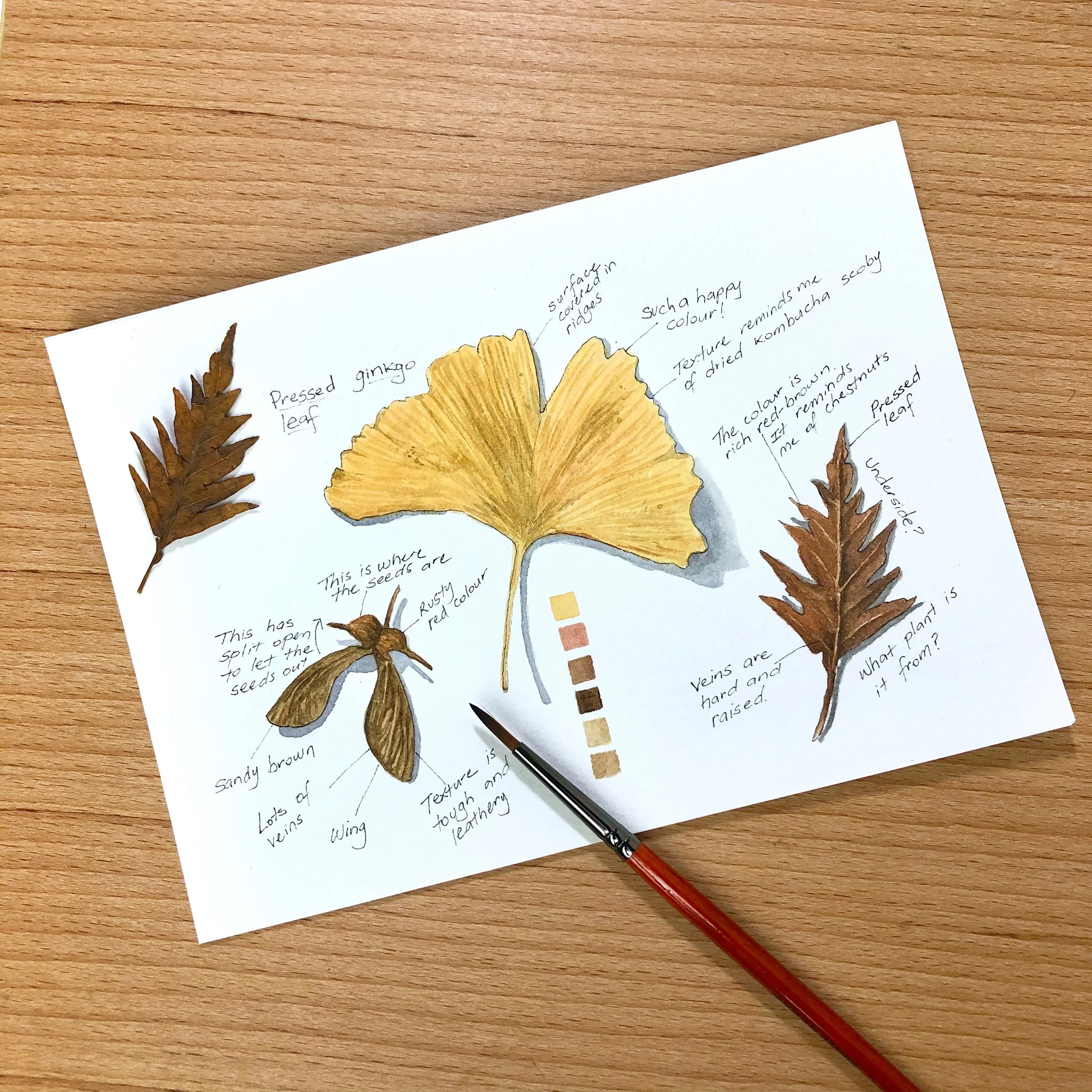 Nature Journaling Week