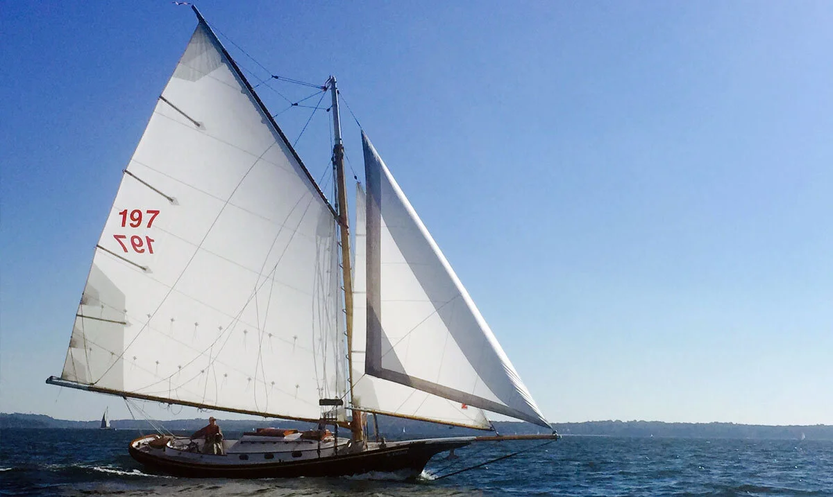Z Sails