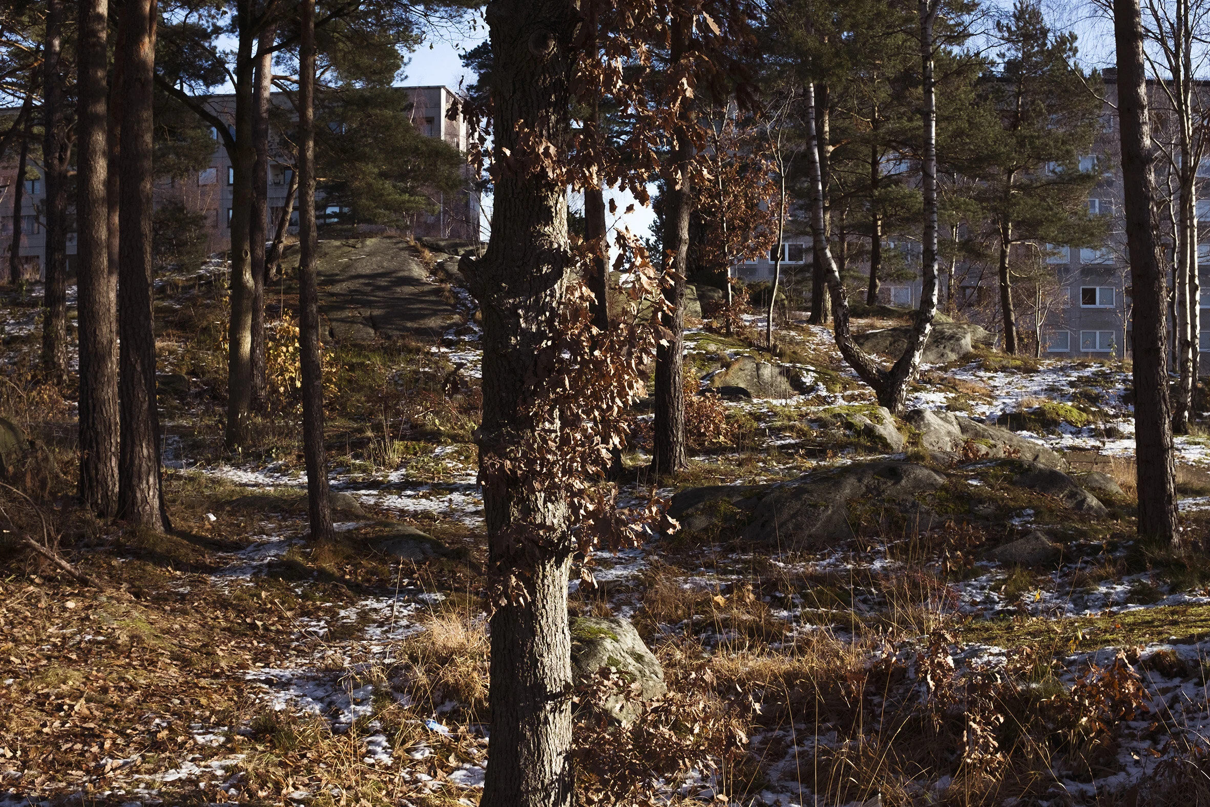 Hammarkullen — Mariette Svensson Photography