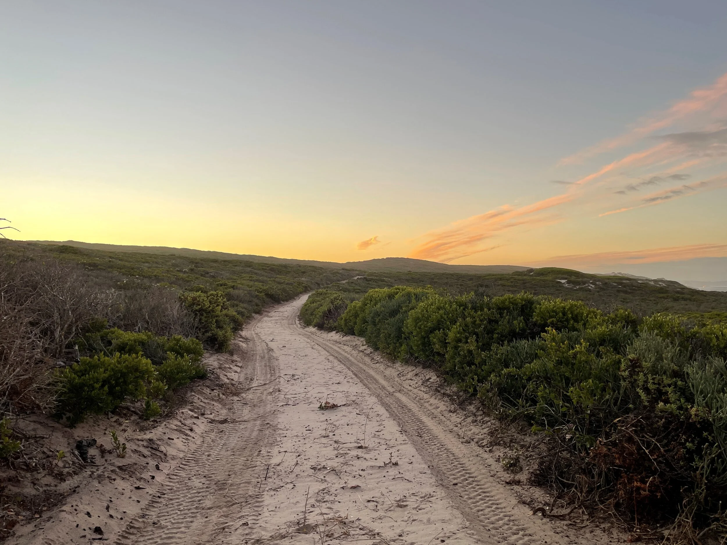 Location Information | Film, Still, and Event Location | Springfontein