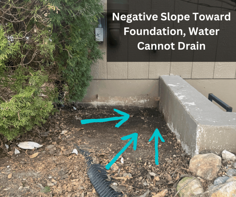 The Importance of Foundation Maintenance — American Topsoil