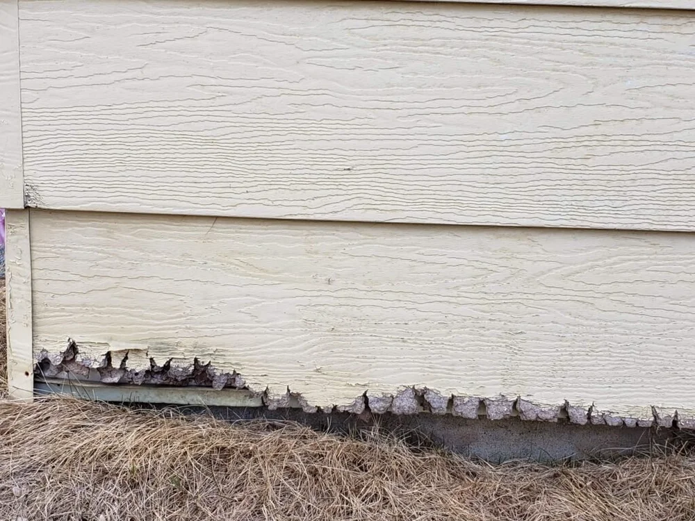 The Importance of Foundation Maintenance — American Topsoil