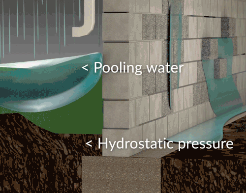 The Importance of Foundation Maintenance — American Topsoil