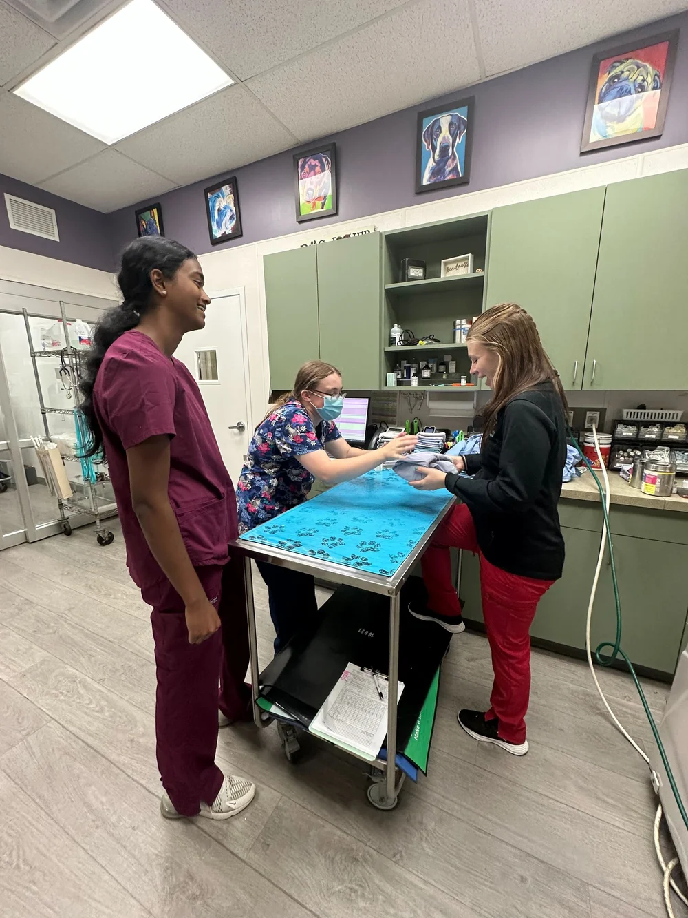 Blog — West Friendship Animal Hospital