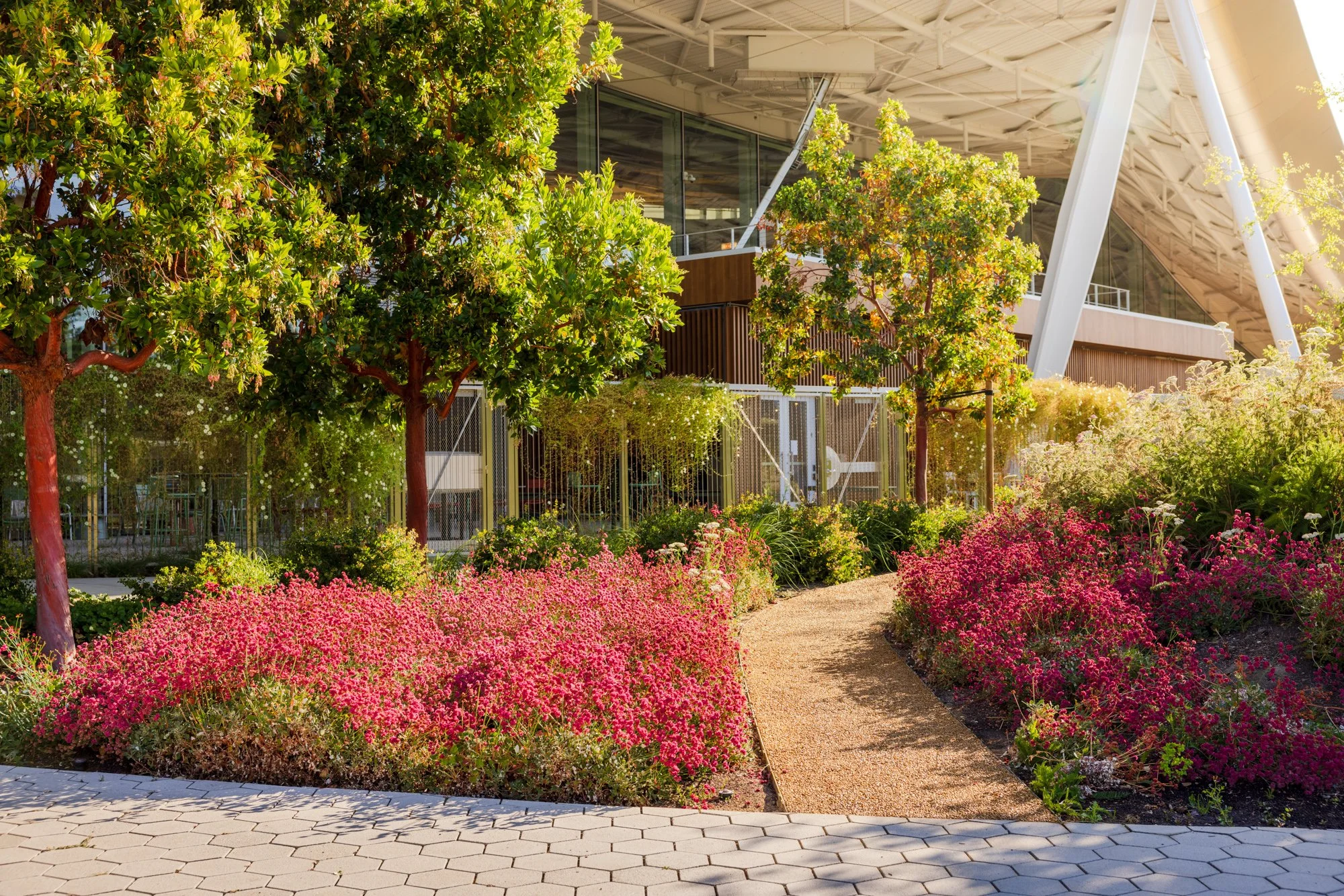 Google Gradient Canopy — Mark Wickens