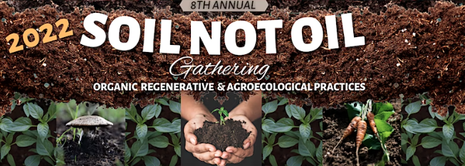 Democratic & Environmental Rights- Including the Soil, with Thomas ...