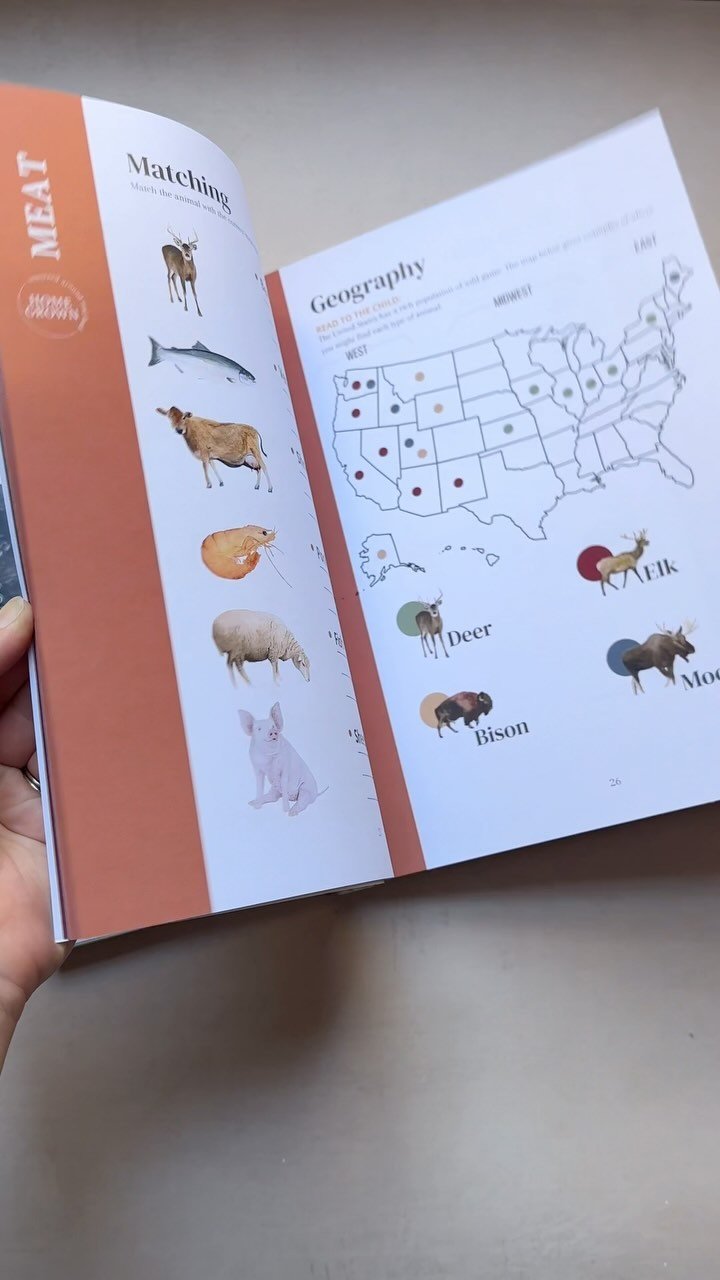 All About The Sun — Homegrown Education