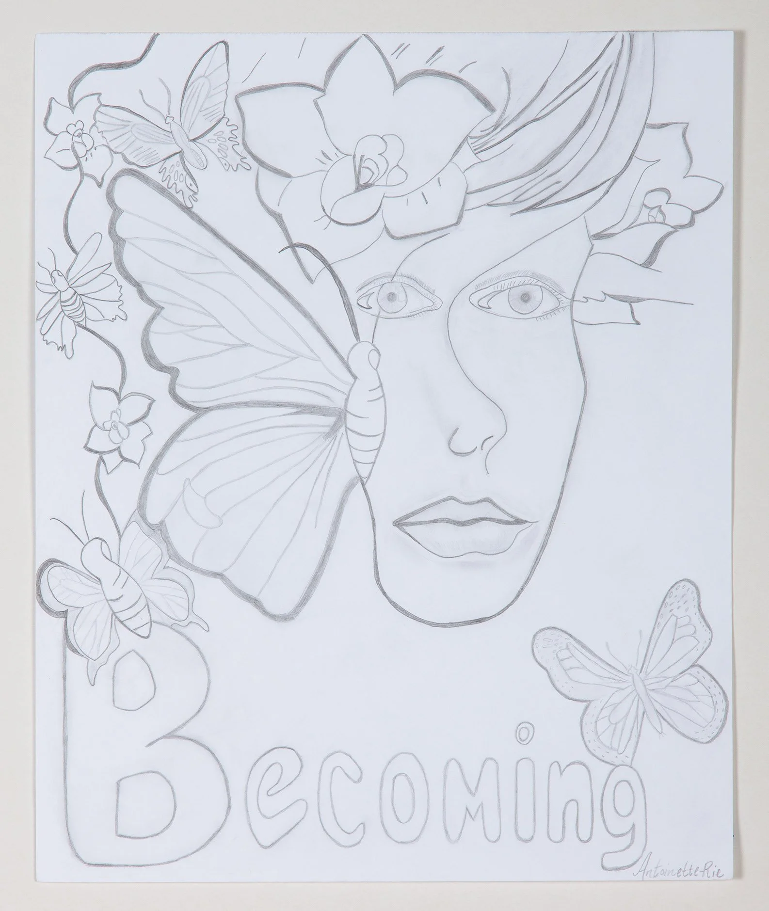 Metamorphosis Drawings Art