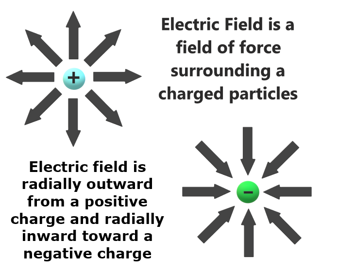 What is the Biofield? — Biofield Lab