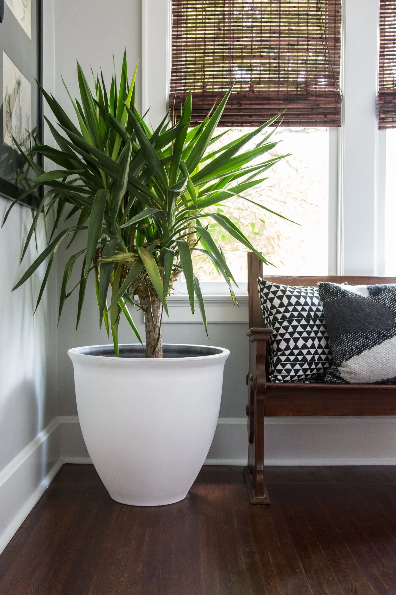 Brian Ferguson Design — Brian Ferguson Designs