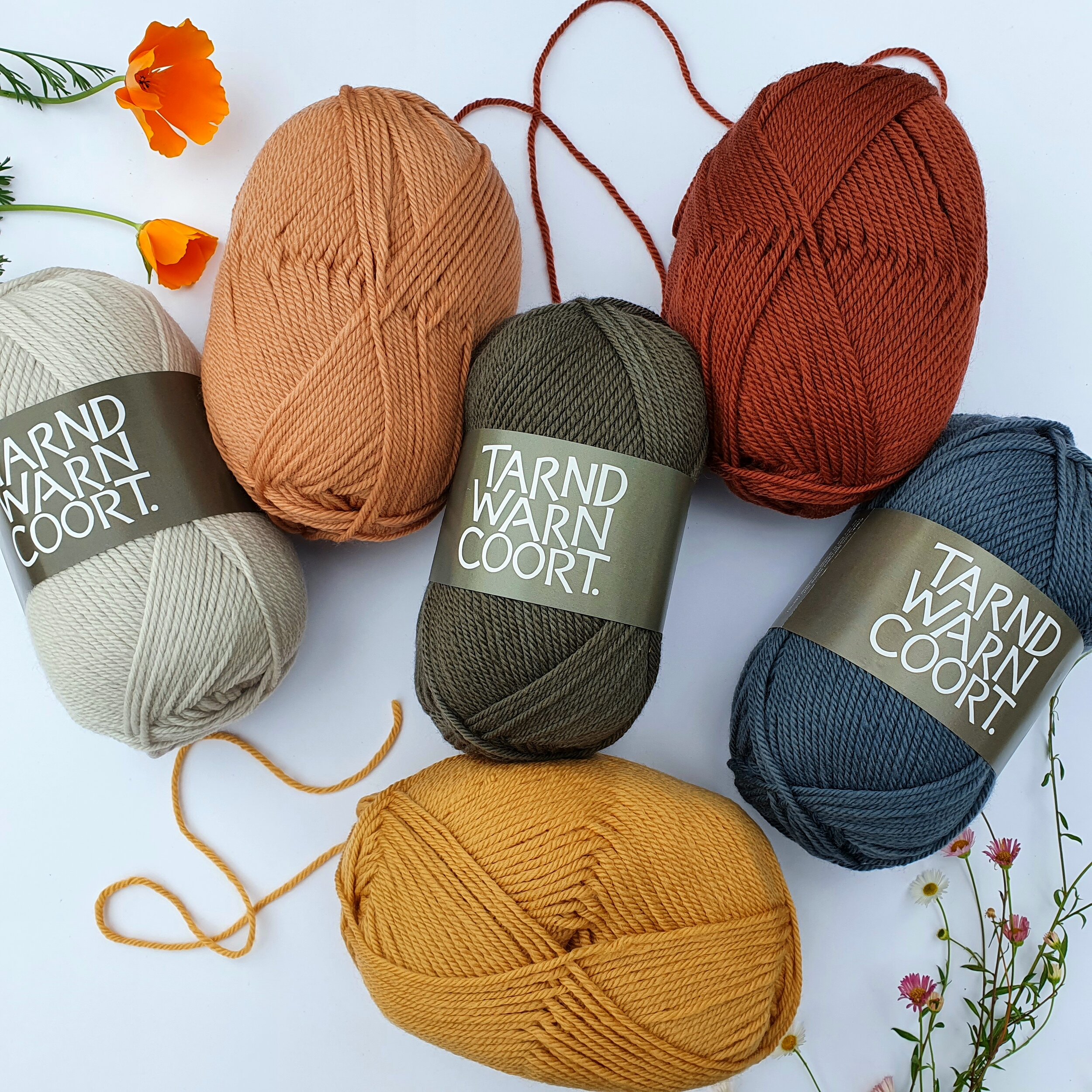 Natural Polwarth Yarn 4ply / Fingering — Tarndie