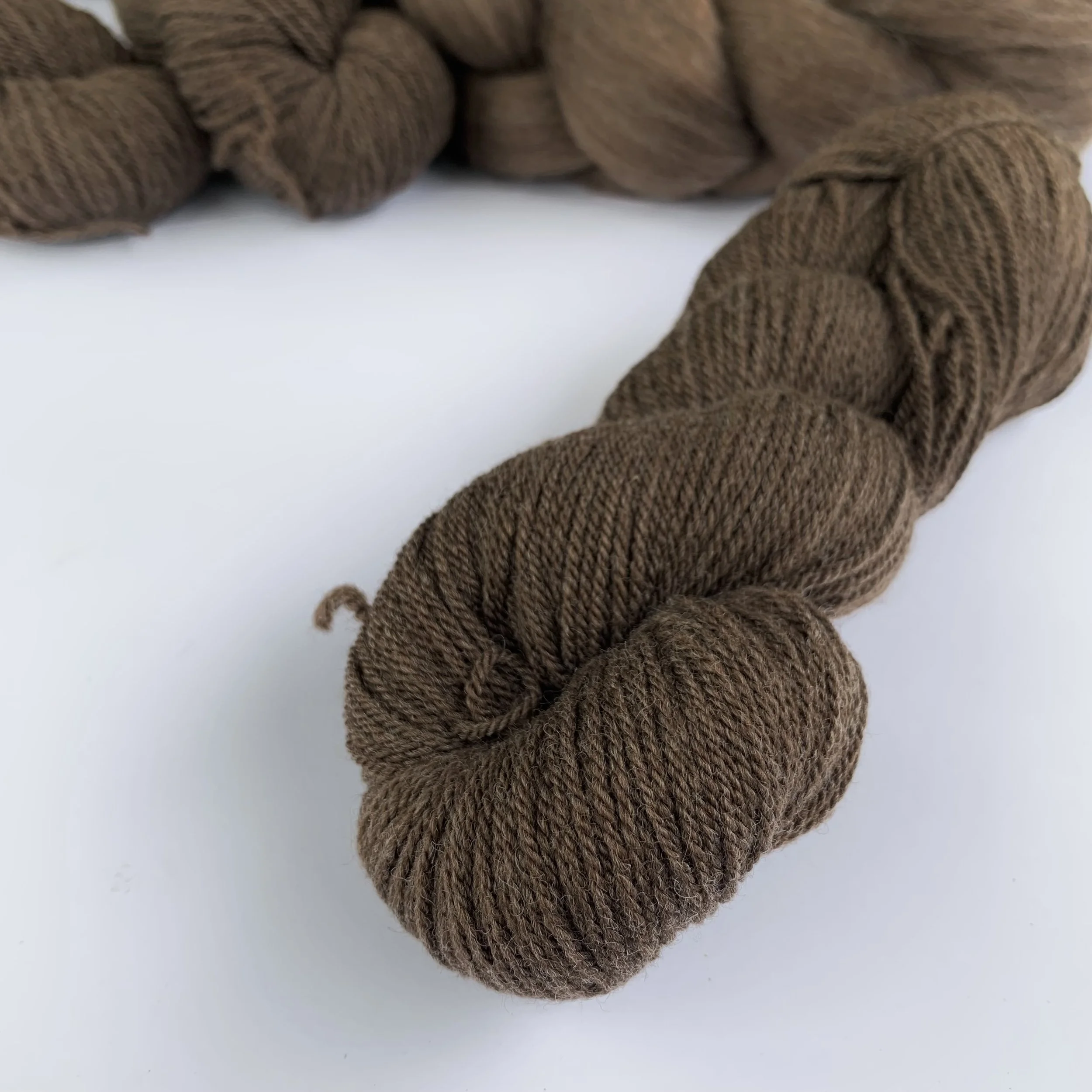 Natural Polwarth Yarn 5ply / Sports — Tarndie
