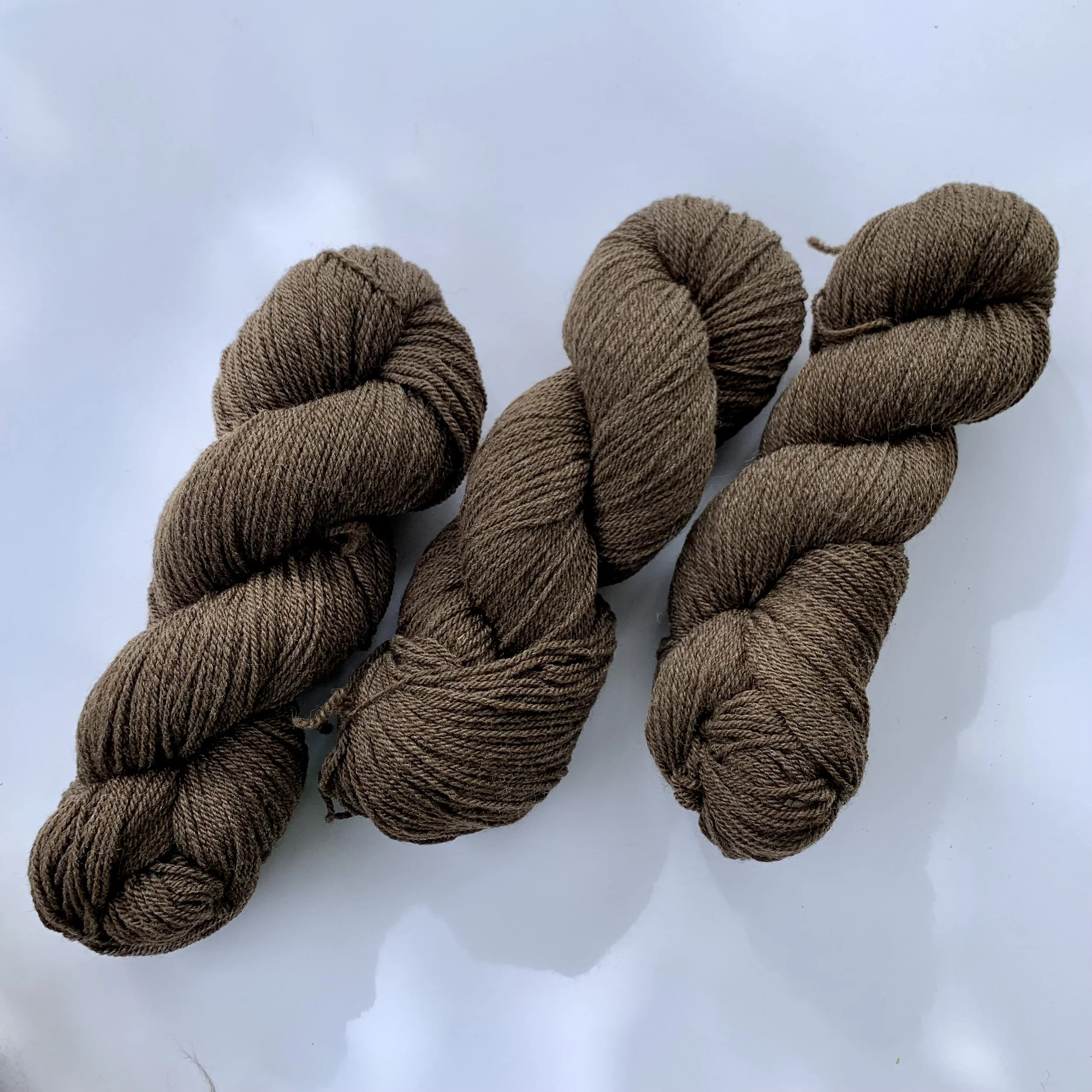 Natural Polwarth Yarn 5ply / Sports — Tarndie