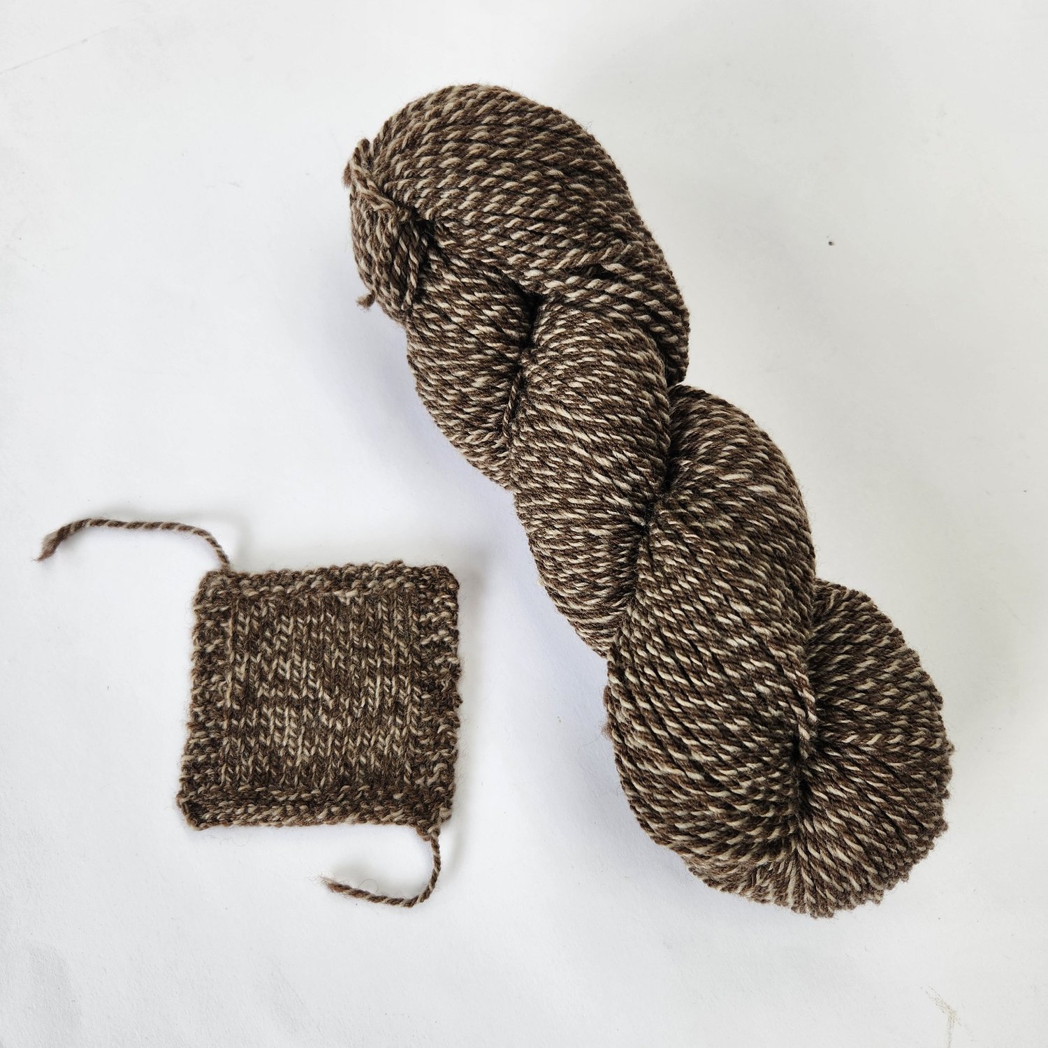 Natural Polwarth Yarn 4ply / Fingering — Tarndie