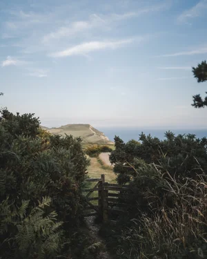 August Coast Path Walk — The Wildwood Moth