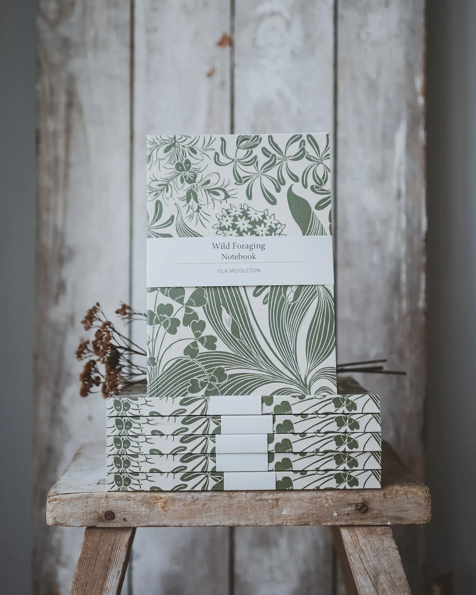 The Wildwood Moth — The Wildwood Moth