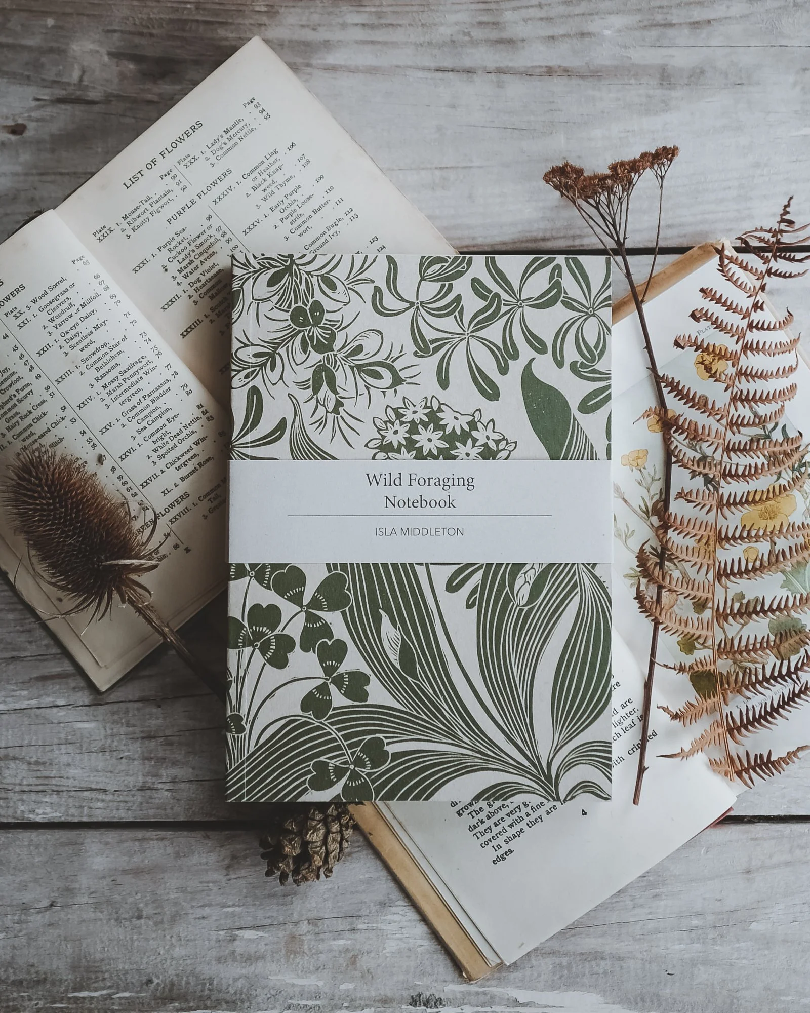 The Wildwood Moth — The Wildwood Moth