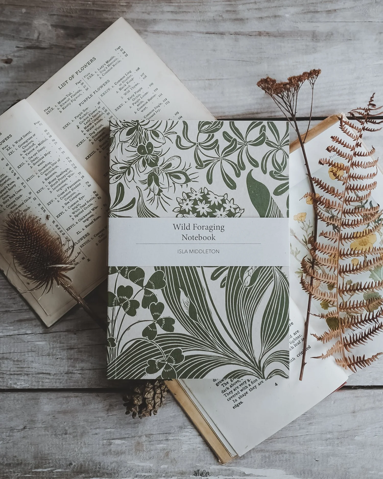 The Wildwood Moth — The Wildwood Moth