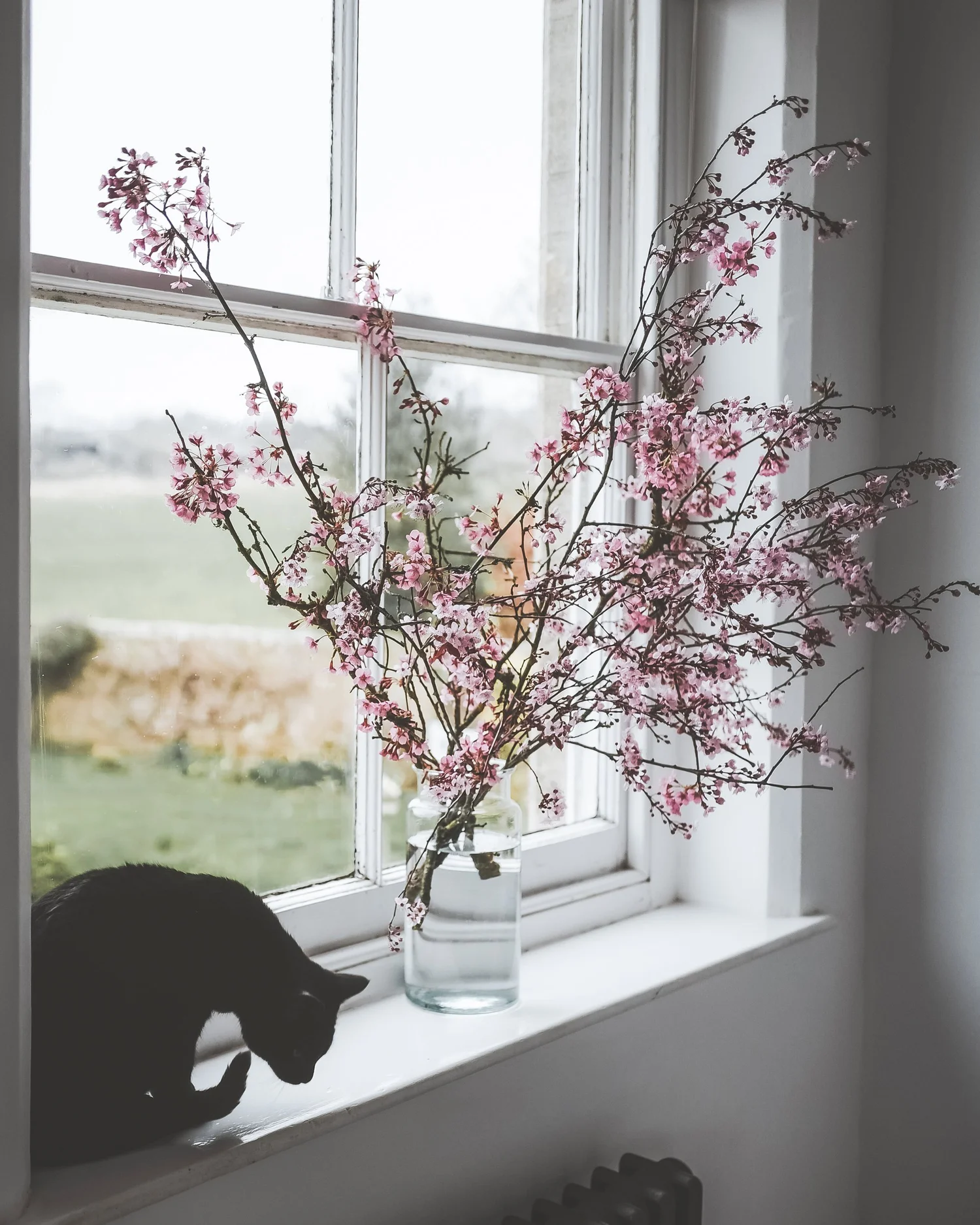 A Window View Through The Seasons — The Wildwood Moth