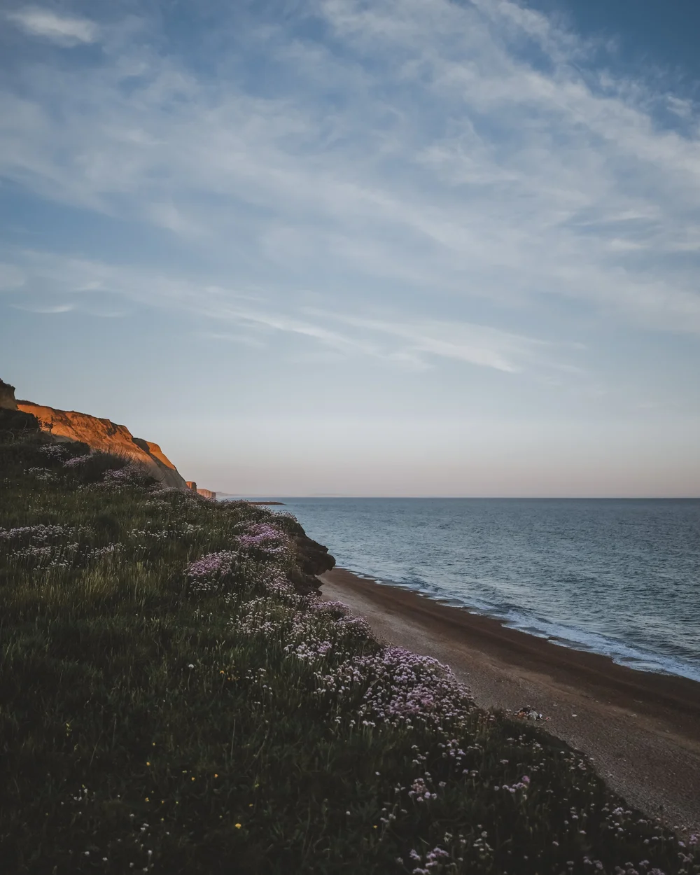 My Spring Walks — The Wildwood Moth