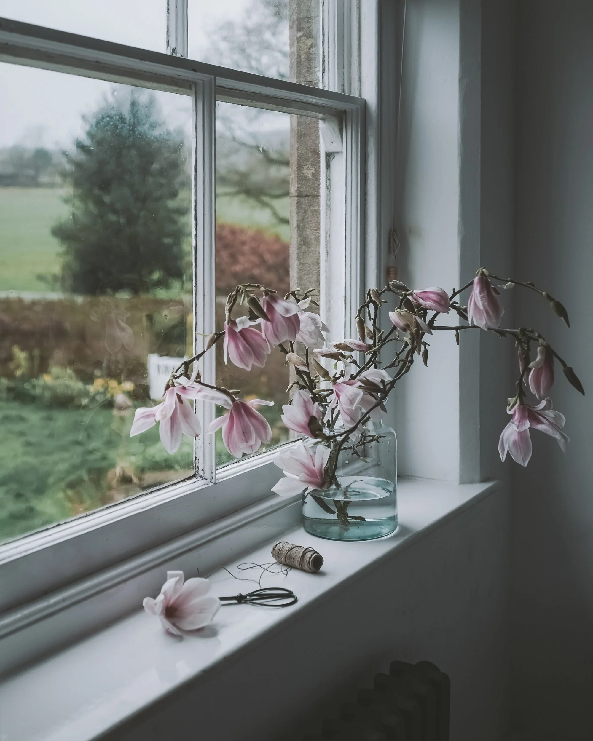 A Window View Through The Seasons — The Wildwood Moth
