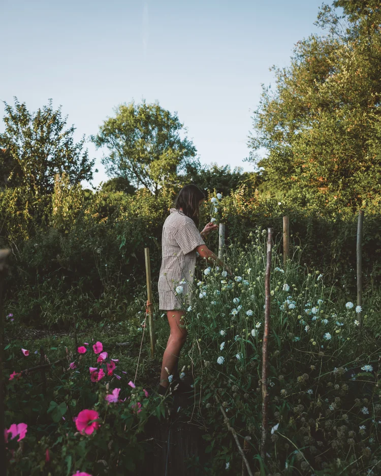 Meet Liv Carter- from Stowford Flowers — The Wildwood Moth