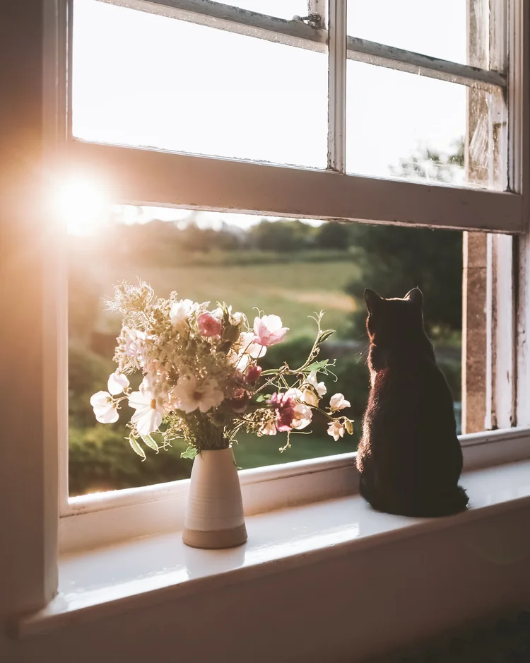 A Window View Through The Seasons — The Wildwood Moth