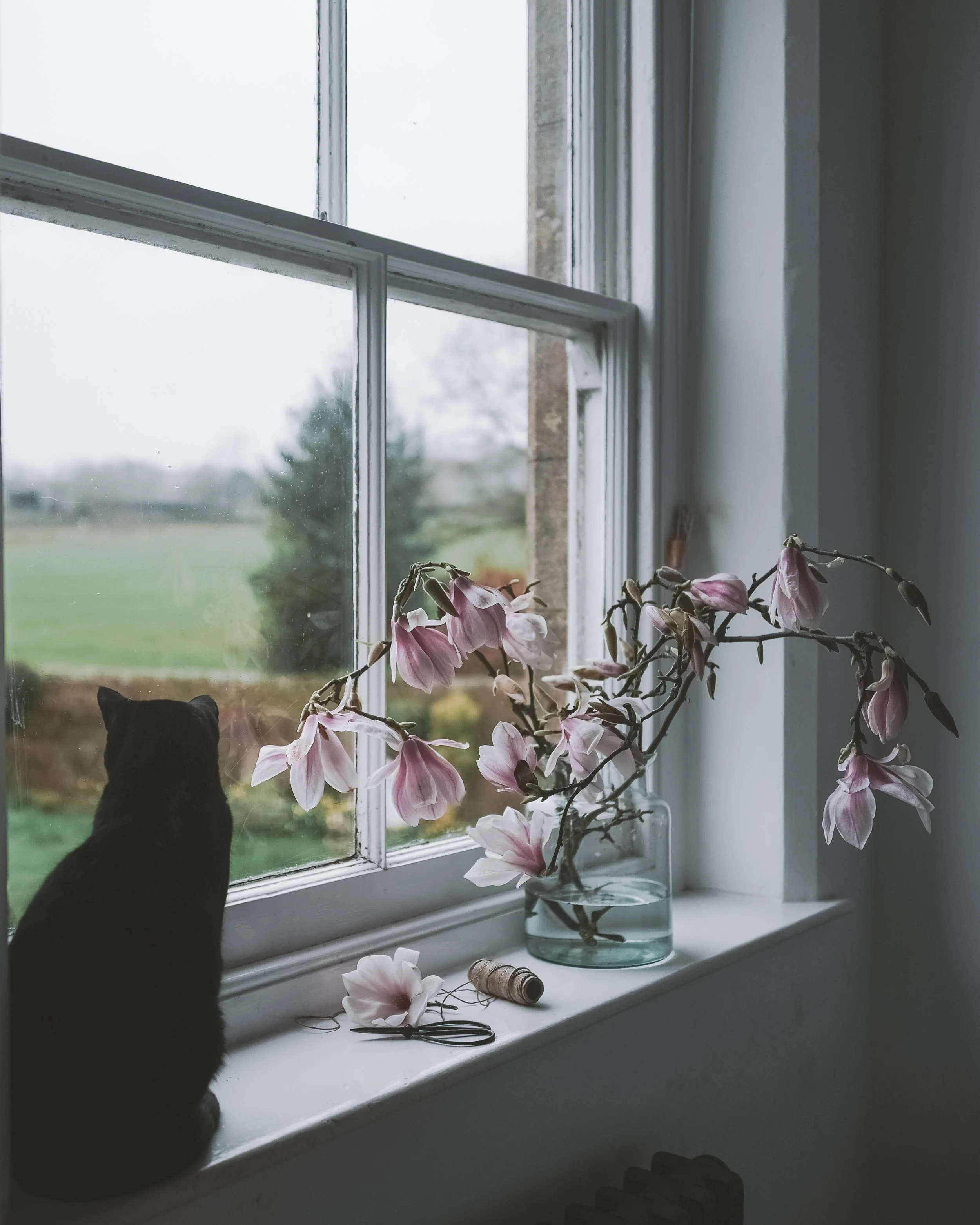 A Window View Through The Seasons — The Wildwood Moth