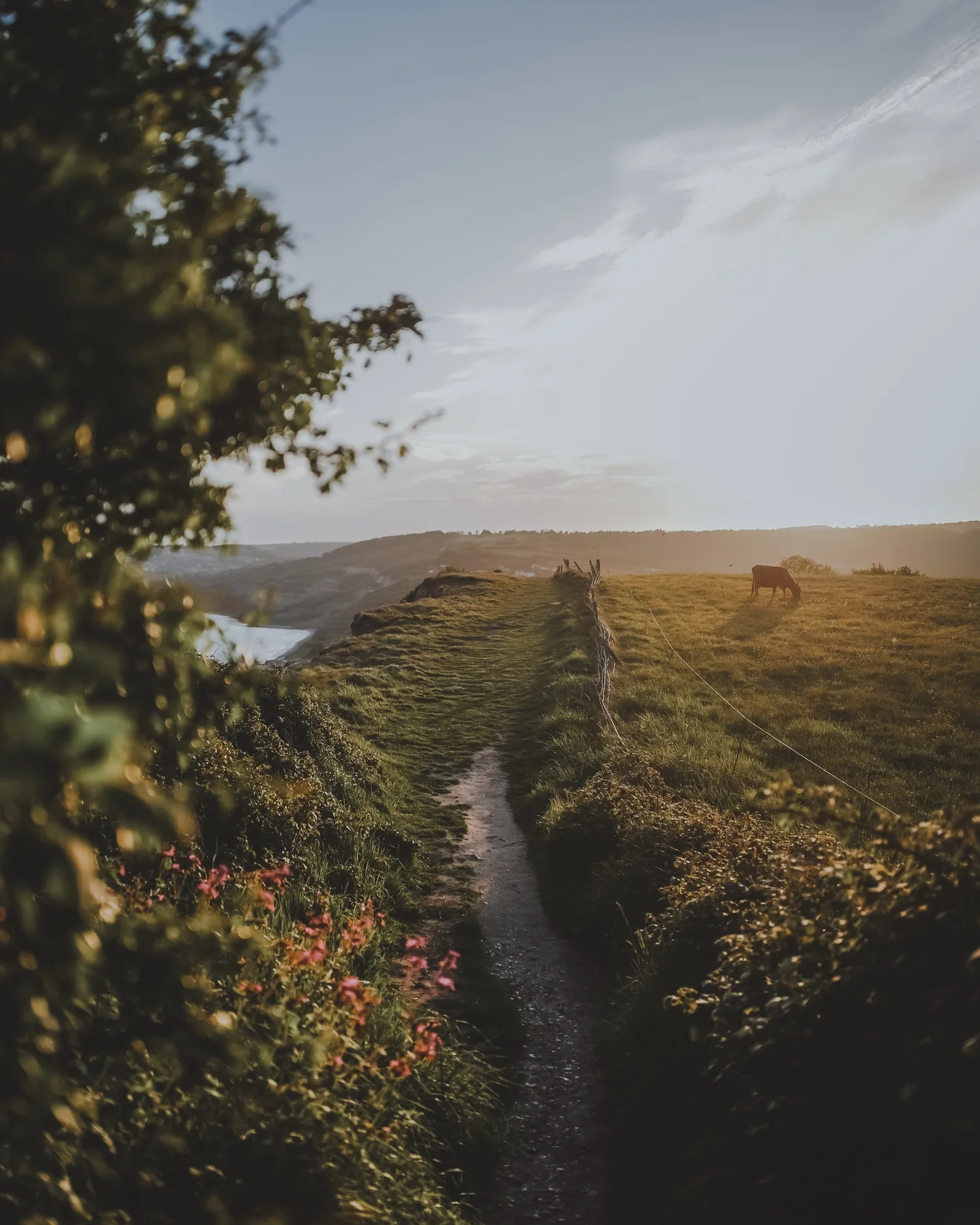 My Spring Walks — The Wildwood Moth