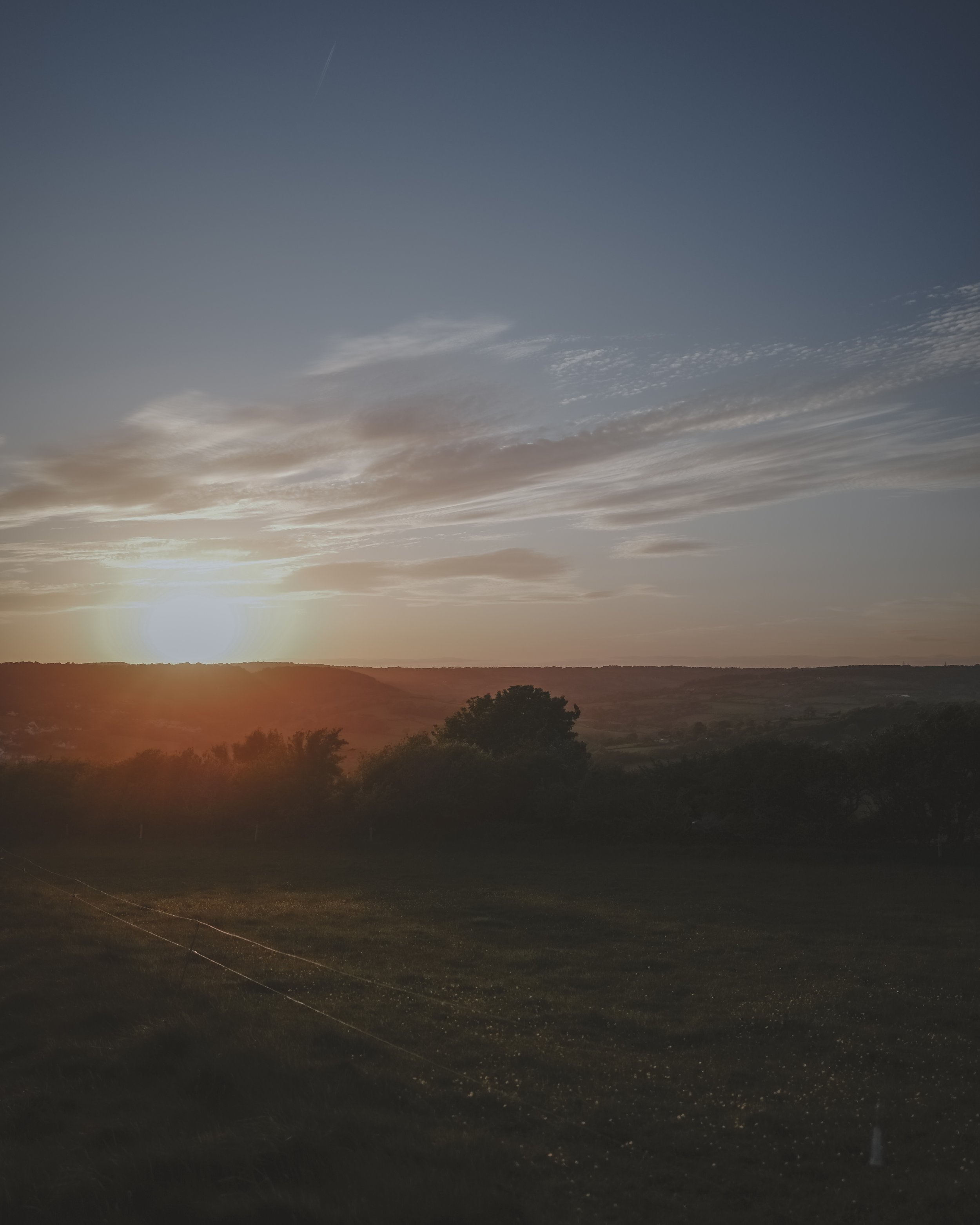 My Spring Walks — The Wildwood Moth