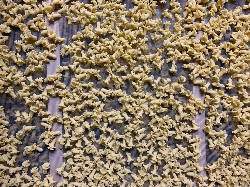 Carosello Pasta