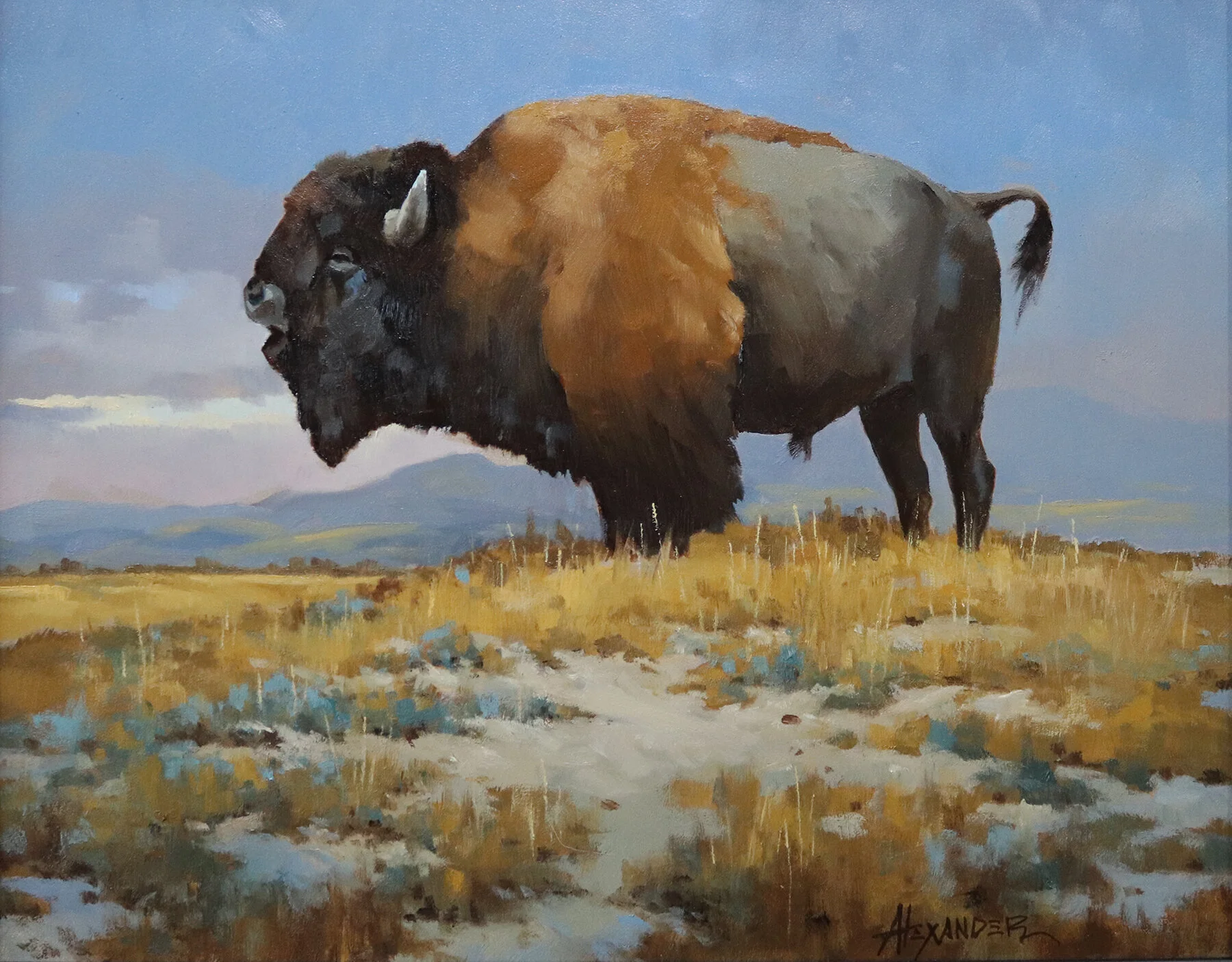 Wildlife Art — Colin Alexander Art