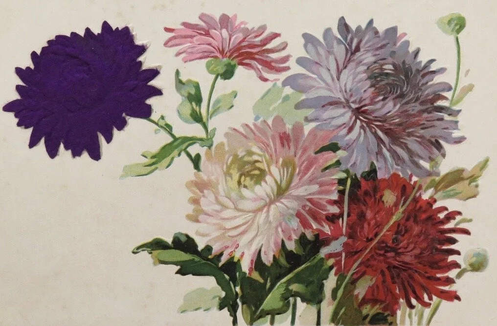 Garden Societies — Twigs Way