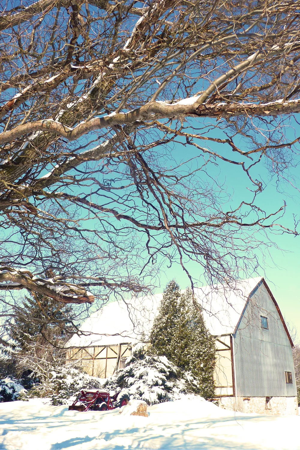 About — Kammerer Heritage Farm