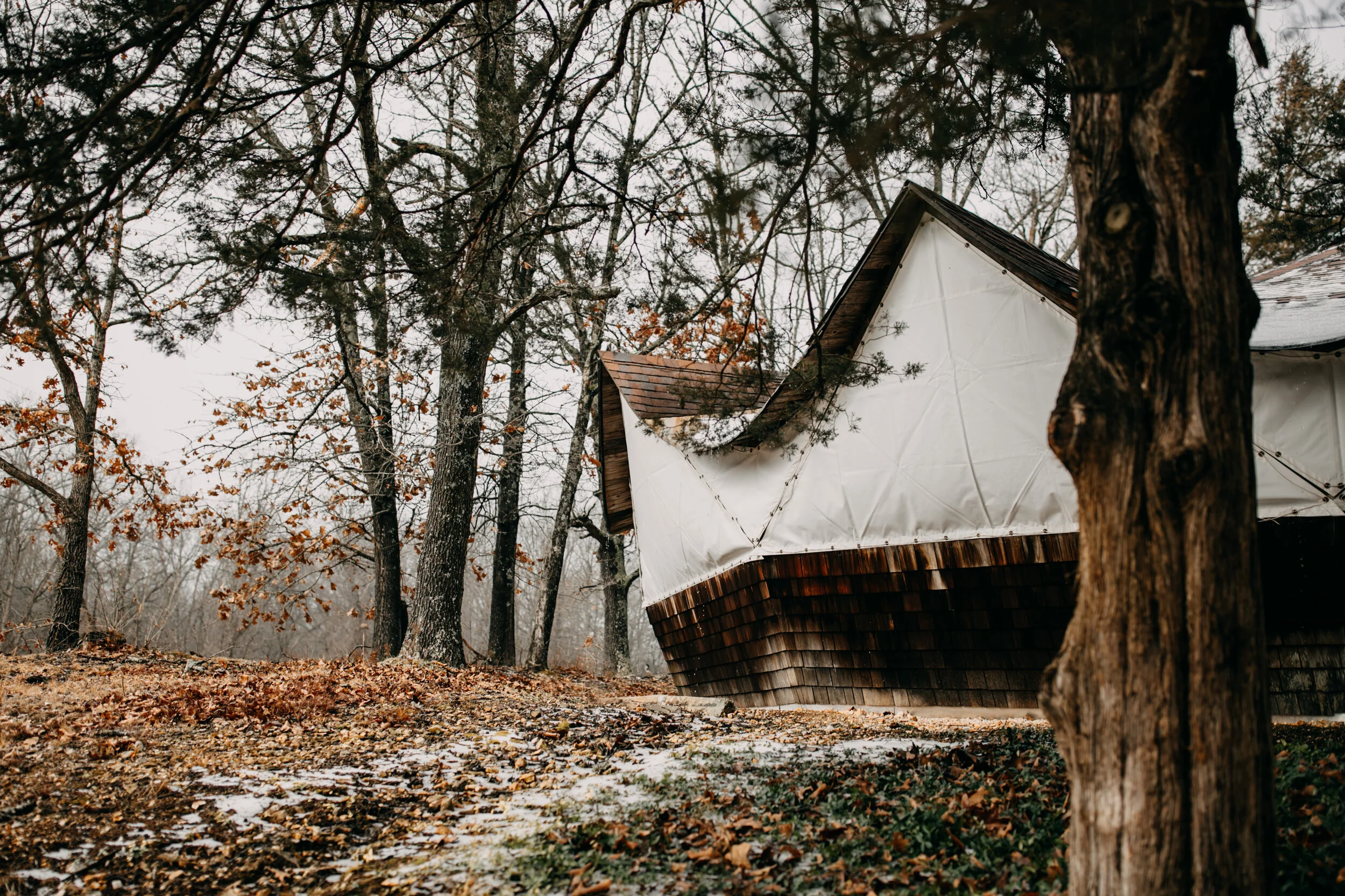 Special Events — The Forest Garden Yurts