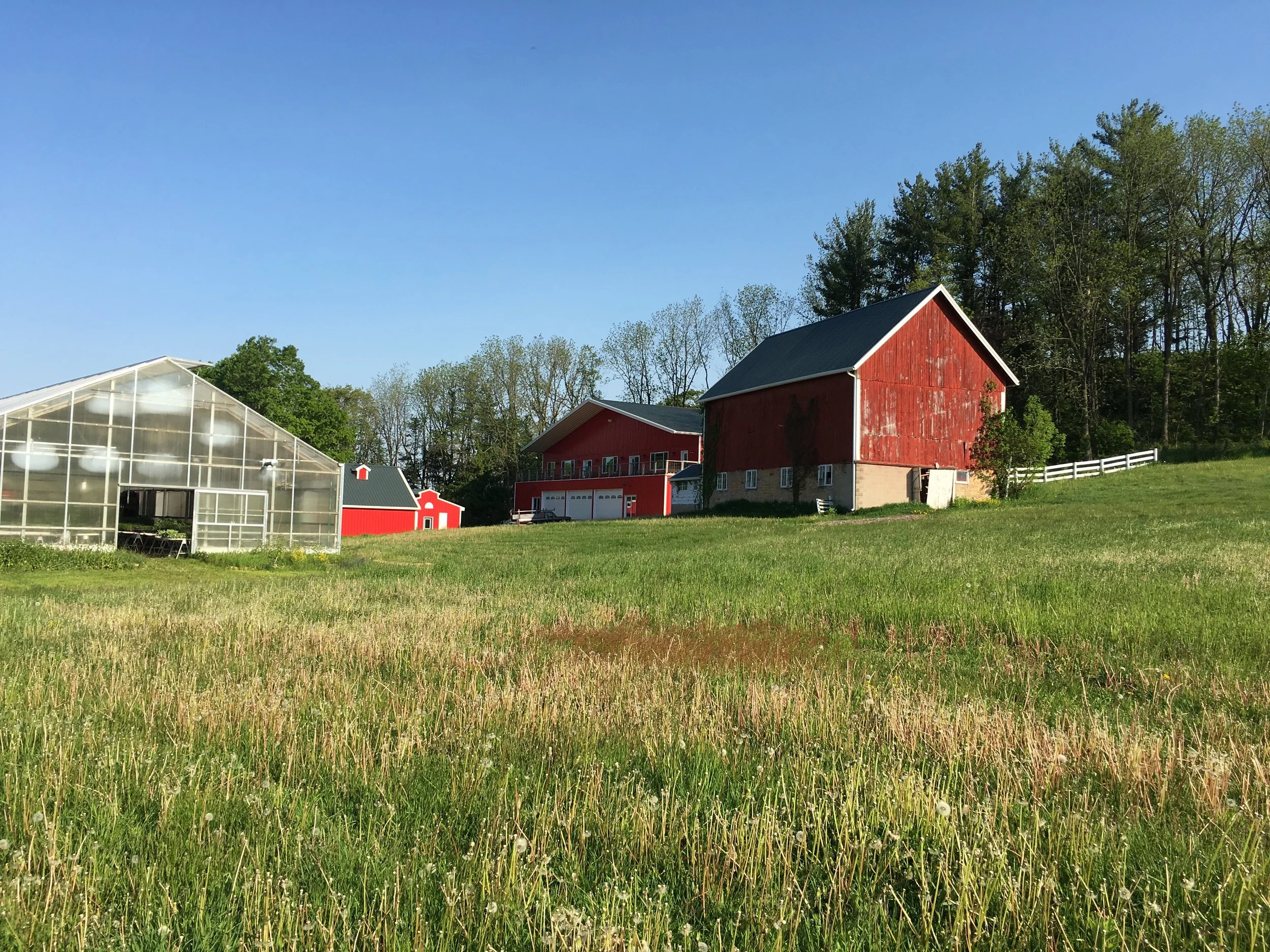 Overall Farm — Primrose Valley Farm