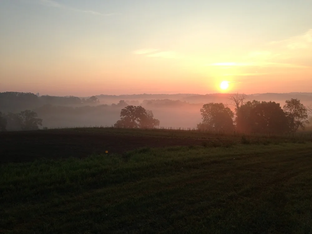 Overall Farm — Primrose Valley Farm