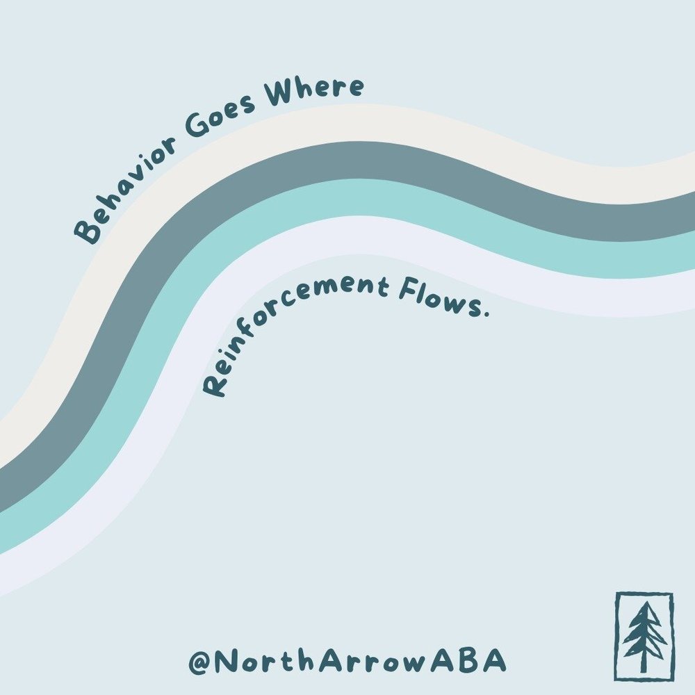 News — North Arrow ABA