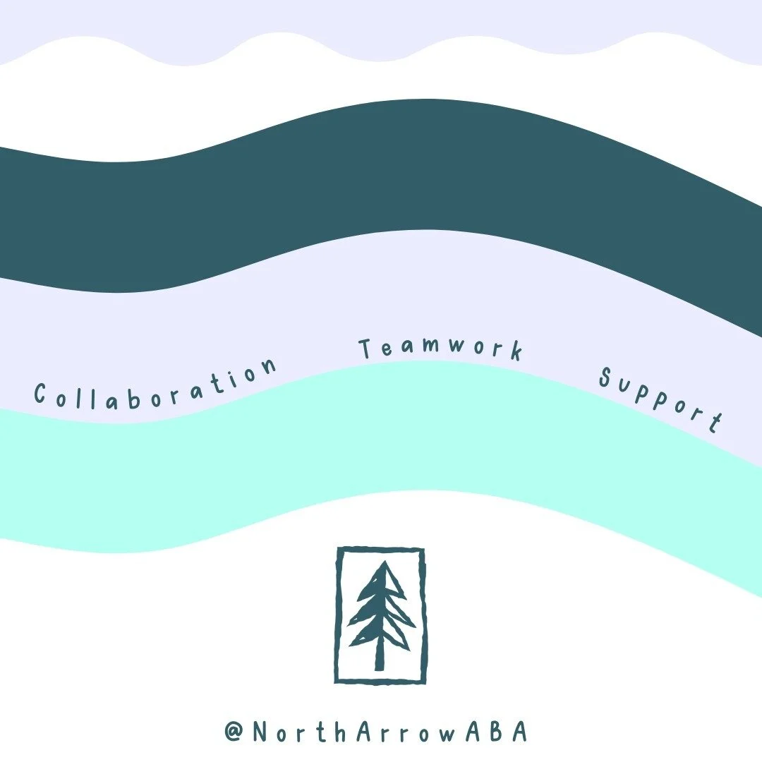 News — North Arrow ABA