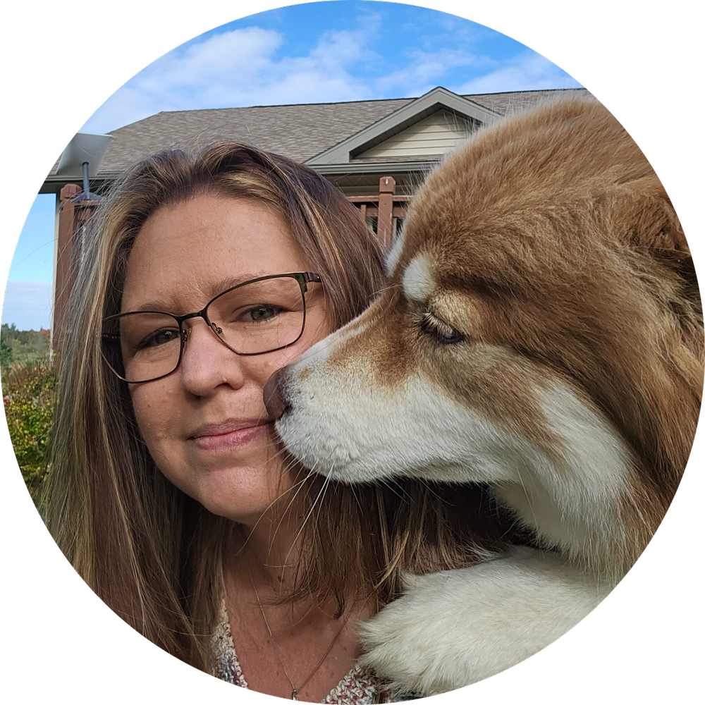 Cheboygan, MI — North Arrow ABA