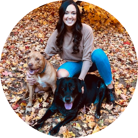 About — North Arrow ABA