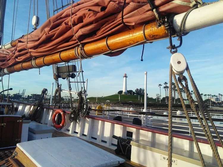 Weekend Wonders and a Shoreline Sail — Children's Maritime Institute ...