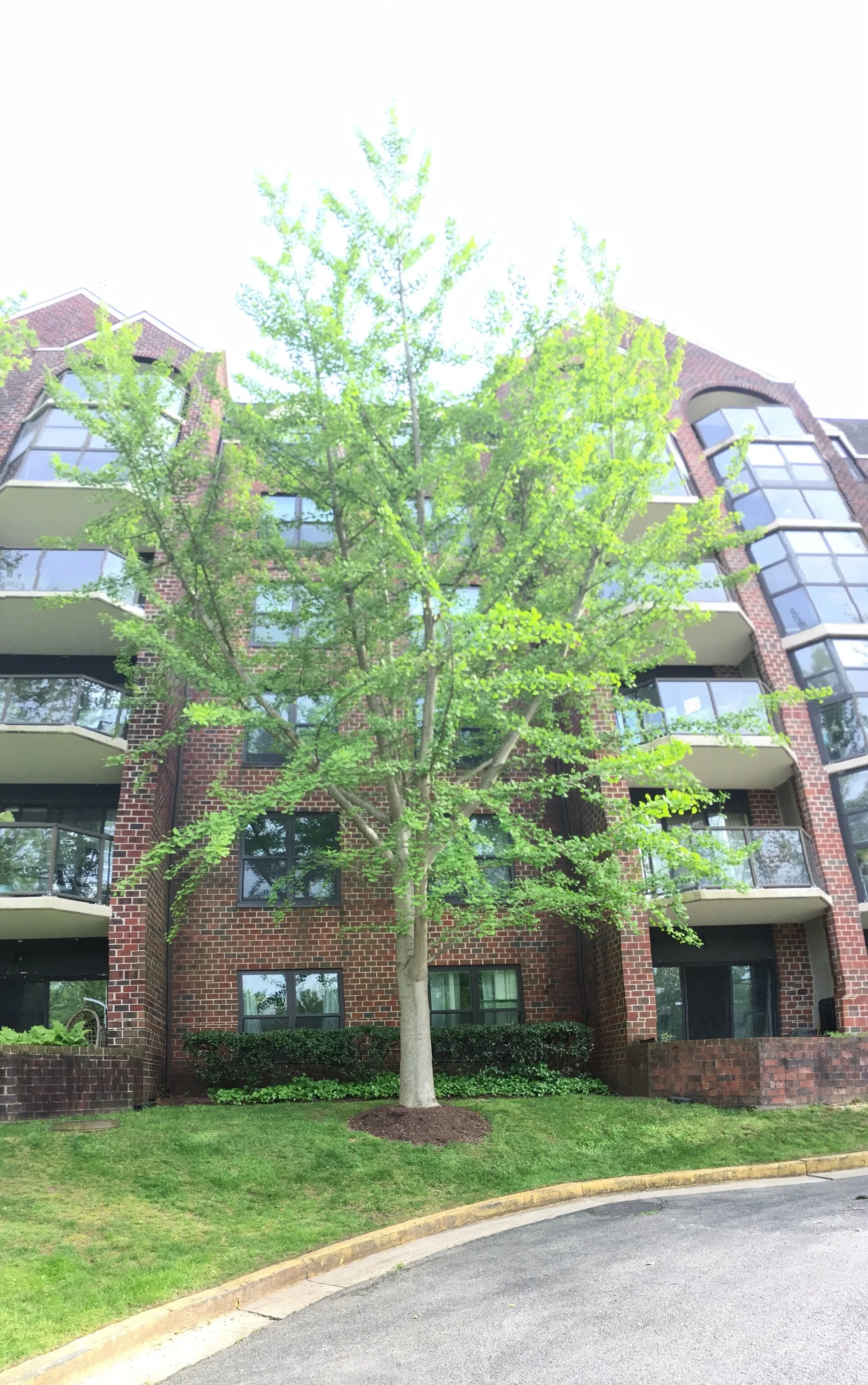 About — Kate Colwell