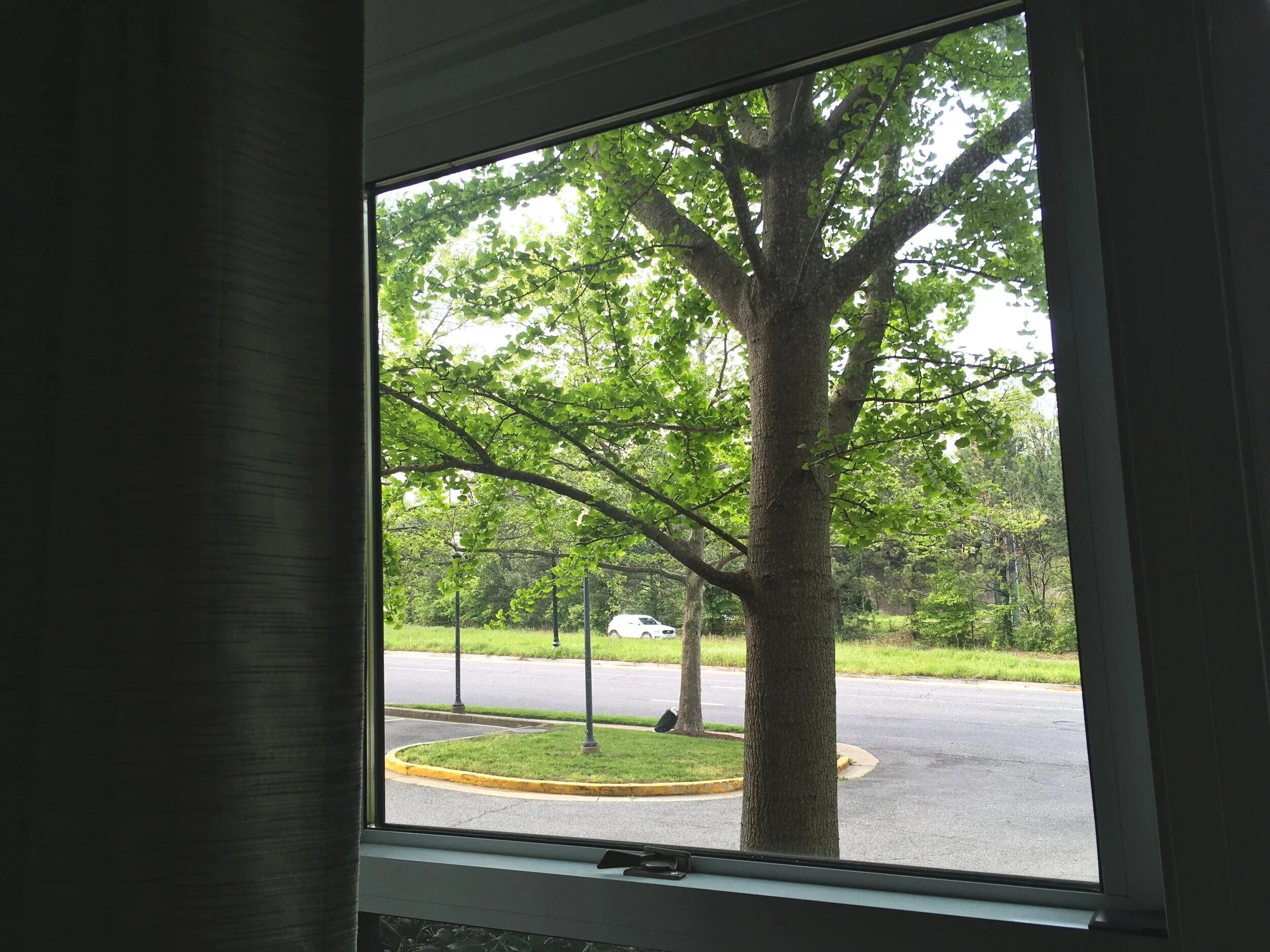 Contact — Kate Colwell