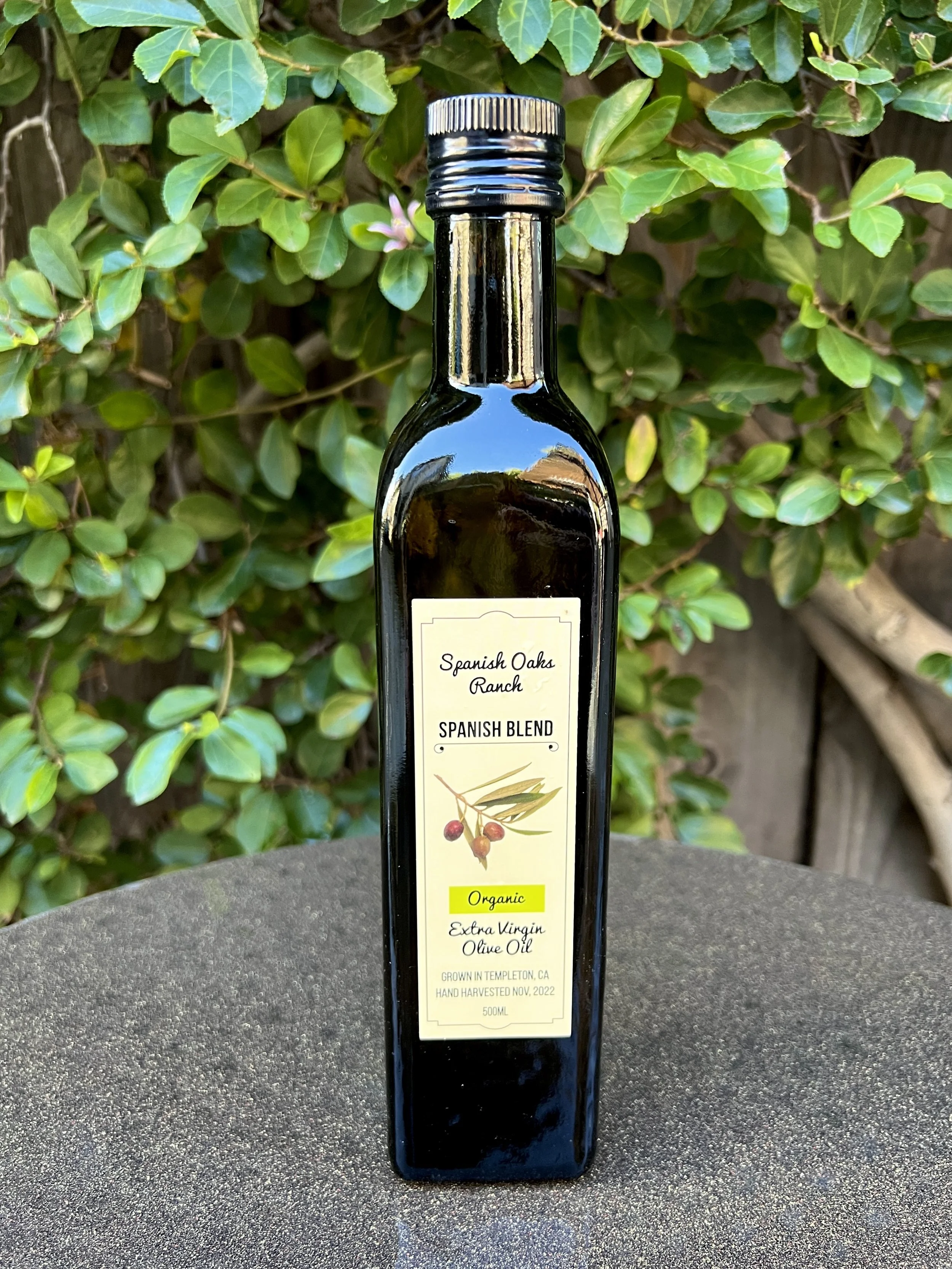 Spanish Olive Oil