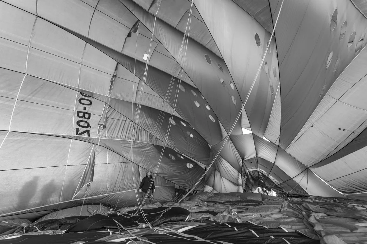 Taking Flight: New Works by Terran Last Gun, Ira Lujan, and Bryce ...