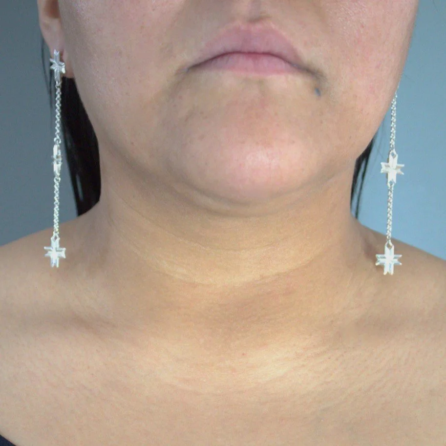 Adrian Standing Elk Pinnecoose — Gallery Hózhó